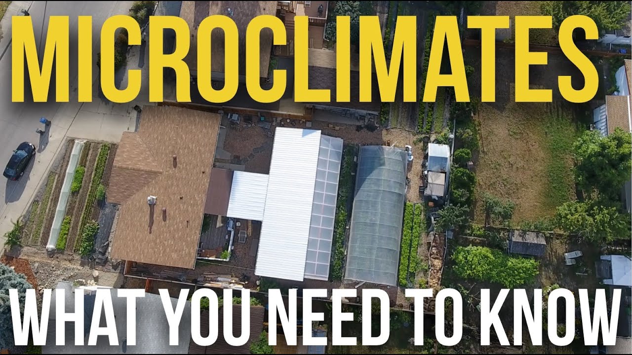 IN PRACTICE - Microclimates - What you need to know