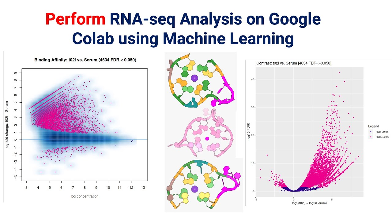 RNA-seq Analysis on Google Colab using Machine Learning