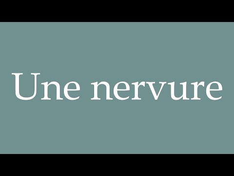 How to Pronounce ''Une nervure'' (A rib) Correctly in French