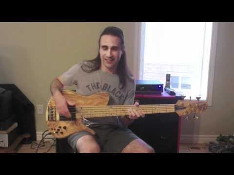 Fodera Richard Bona Signature Imperial - Artists Using It | Equipboard