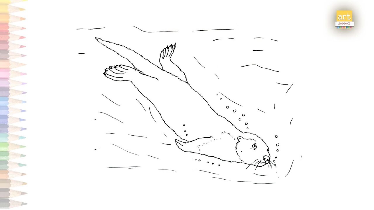 Otter swimming drawing easy | dessin de loutre de mer facile | How to draw sea otter step by step