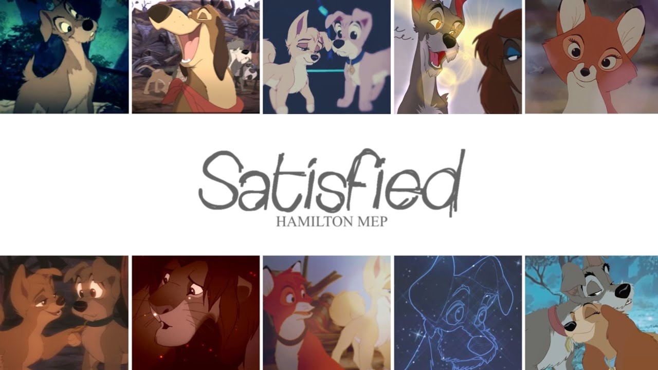 Satisfied || Hamilton MEP
