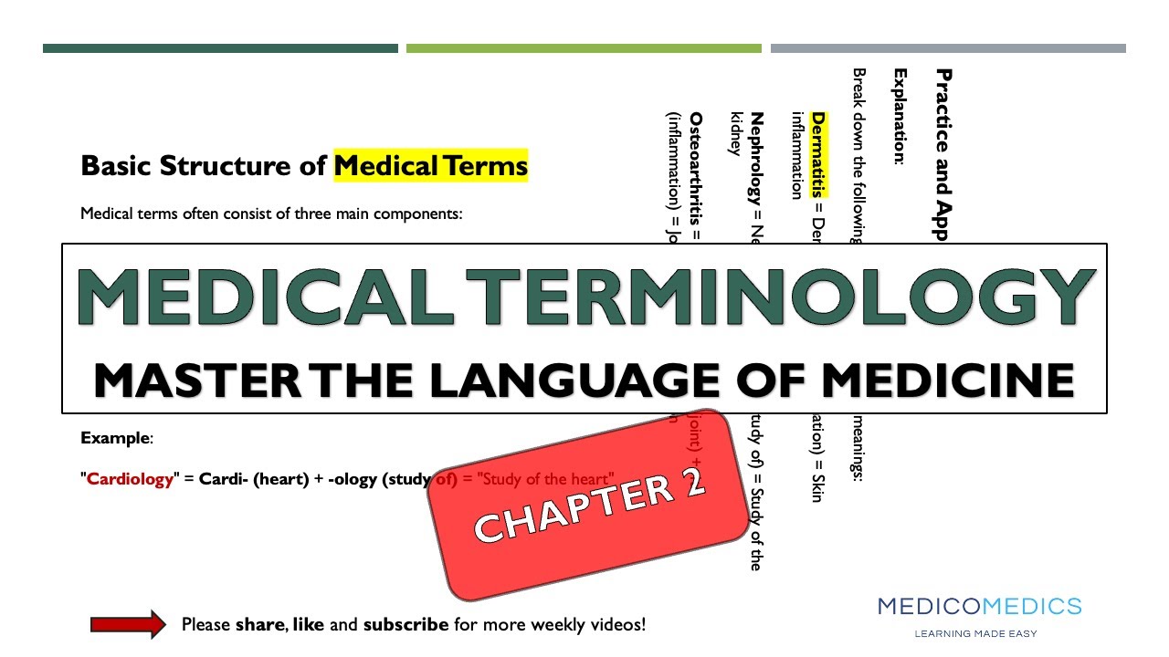 Medical Terminology Chapter 2 | Anatomy Terms: Cardiovascular, Respiratory & Musculoskeletal
