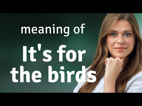 "It's for the Birds!" - Unraveling English Idioms