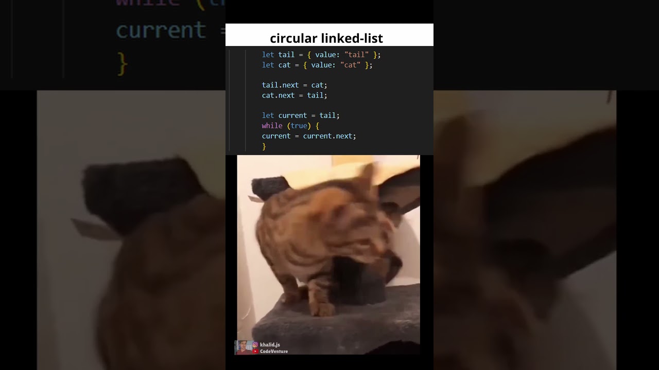 Endless Tail chase #coding #programming #javascript #python