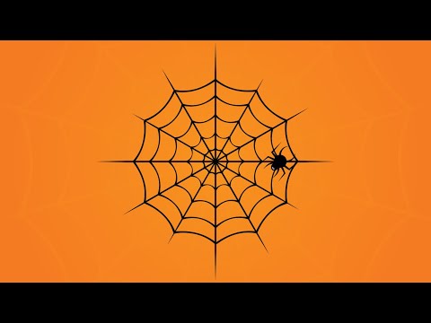 Designing Spider Webs in Adobe Illustrator