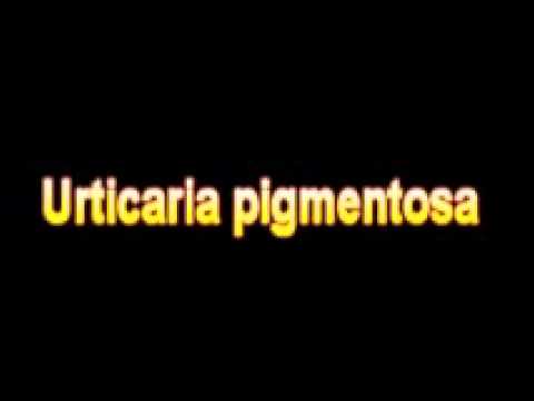 What Is The Definition Of Urticaria pigmentosa Medical School Terminology Dictionary
