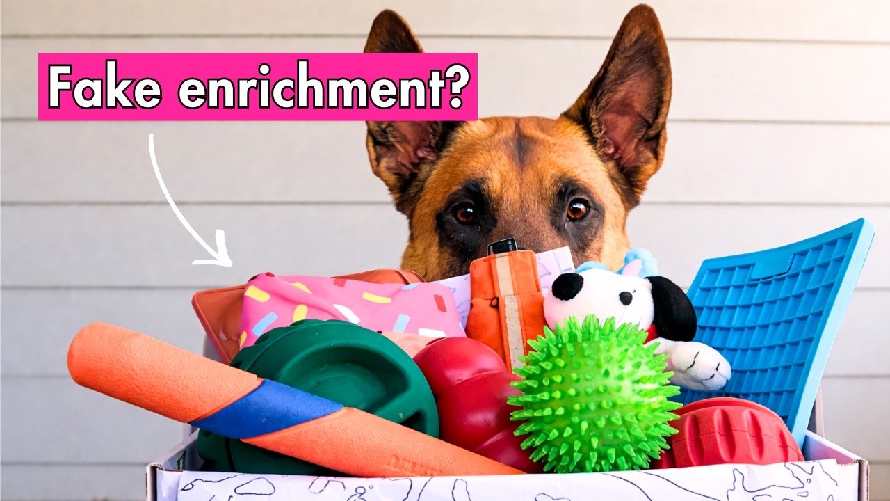 I Read 686 Studies on Enrichment: You're Missing These 3 Elements