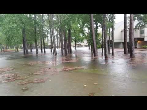 Storm Surge at Fairfield Harbour