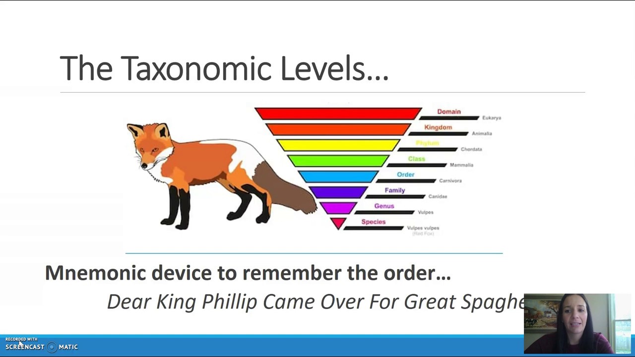 Classification Basics