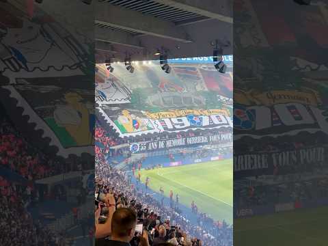 COREO LIVE || PARIS SAINT GERMAIN-Arsenal || Champions League ๐๐ช๐บ || 07/05/25