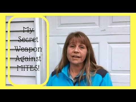 My Secret Weapon Against Mites!