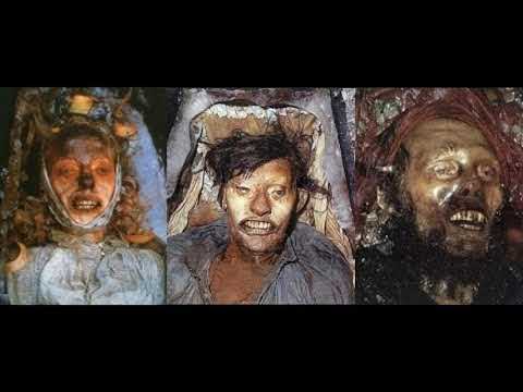 The Terror.....What Disaster Struck The Franklin Expedition?