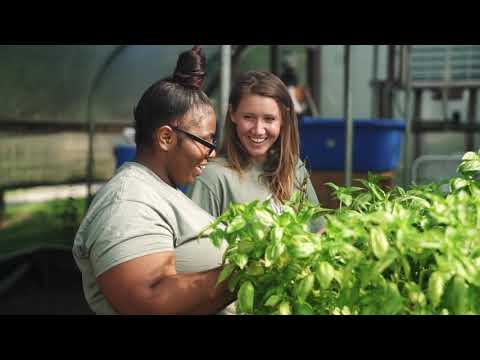 Mill Village Farms' Story
