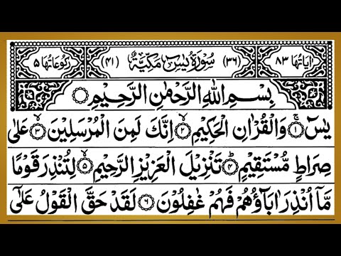 Surah Yasin | Surah Ar Rahman Surah Mulk | یس سورہ | Beautiful Recitation | ytrhhgdkkym | EPM-00544