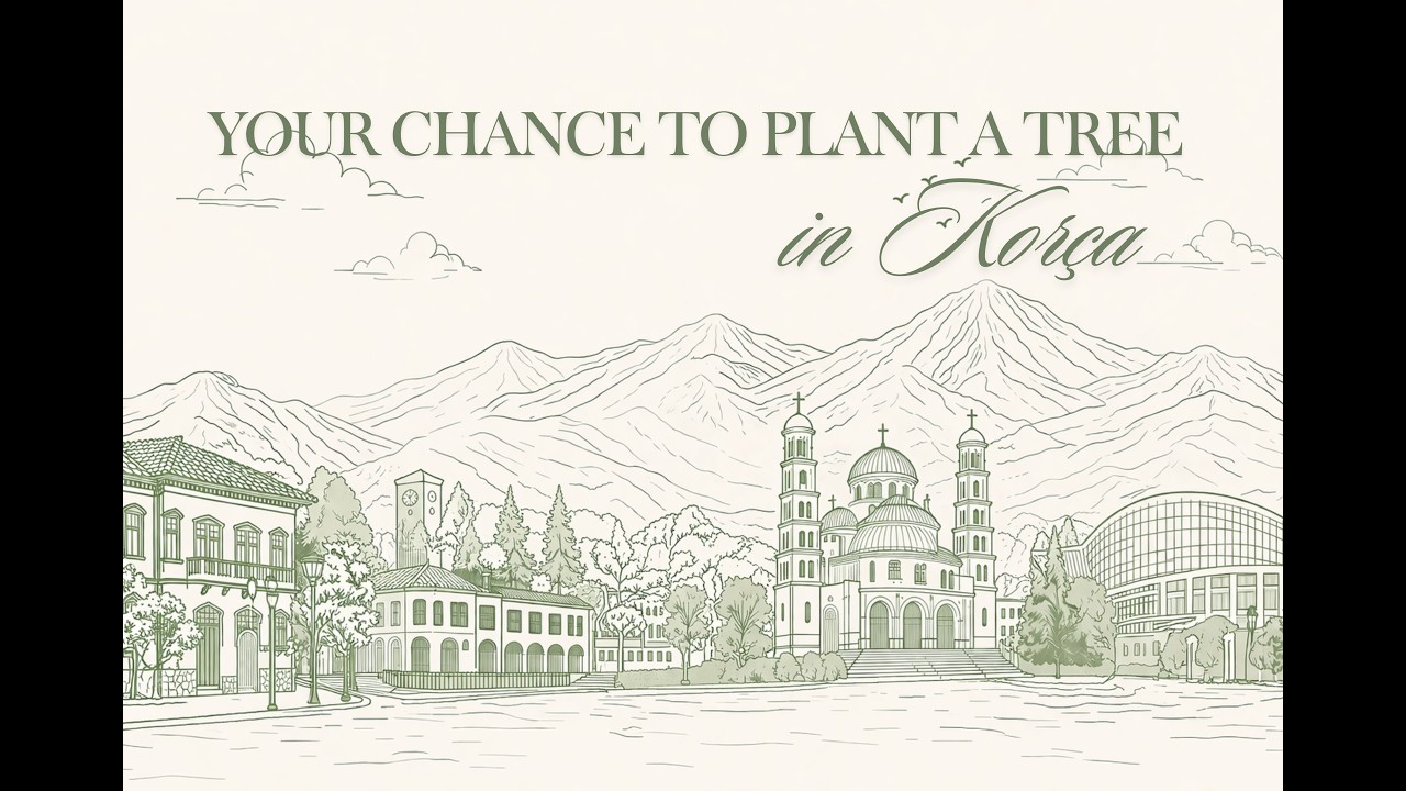 Creating a Forest Corridor in the Hills of Korça