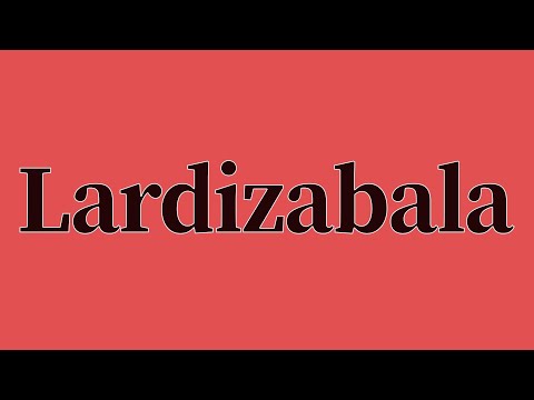Lardizabala Pronunciation and Meaning