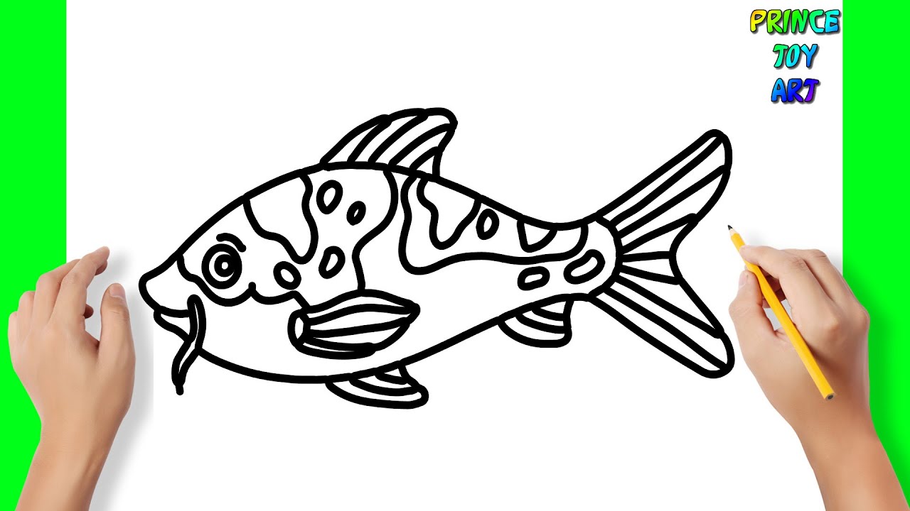 How to draw Koi Fish Easy - Koi Fish coloring pages - Drawing and Coloring for Kids
