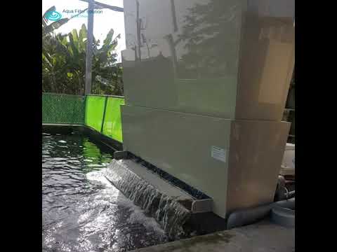 100cm Bakki shower