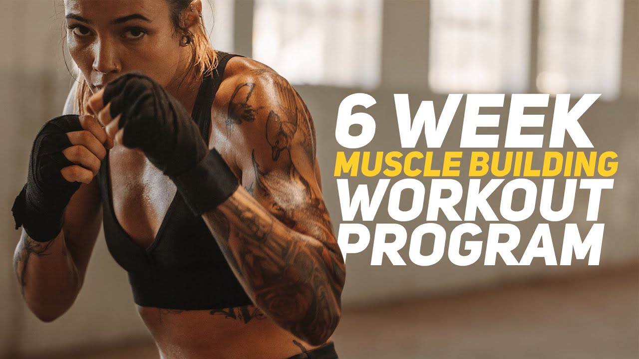 Maximize Your Gains: The Perfect 6-Week Workout Program