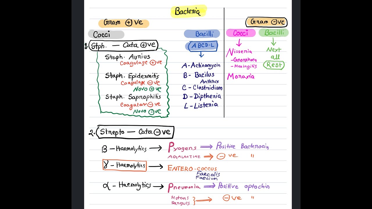 Bacterial classification Mnemonics