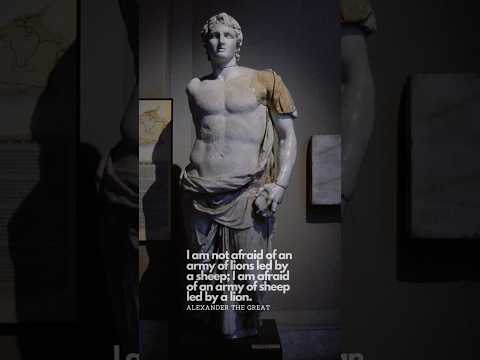 Alexander The Great #war #quote #leadership #shorts