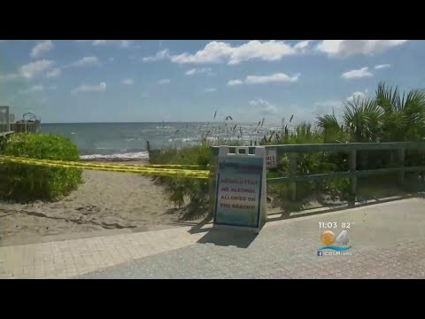 Red Tide Now Impacting South Florida Beaches