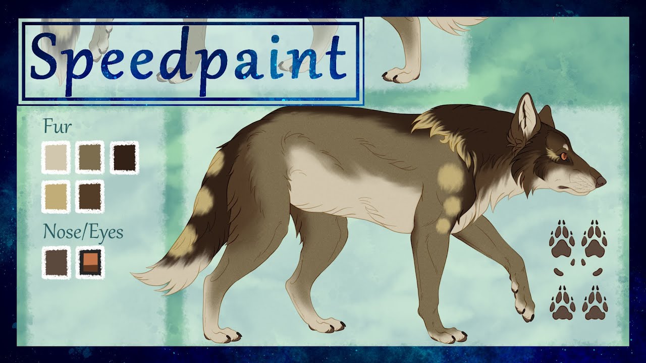 Speedpaint [73] | My Wolf Character Gets A Reference Sheet