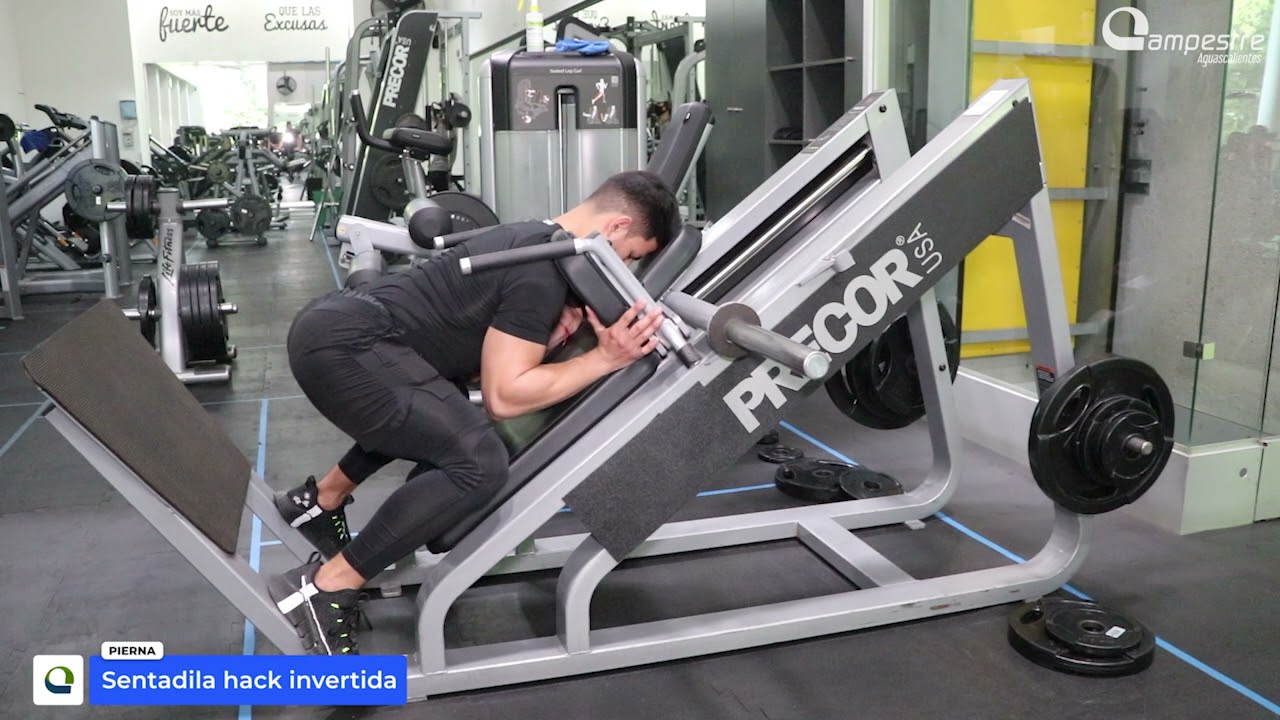 Sentadilla hack invertida