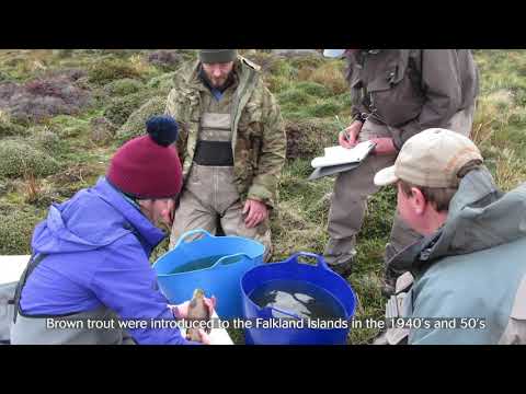 Aquatic Invasive Species research at CSAR