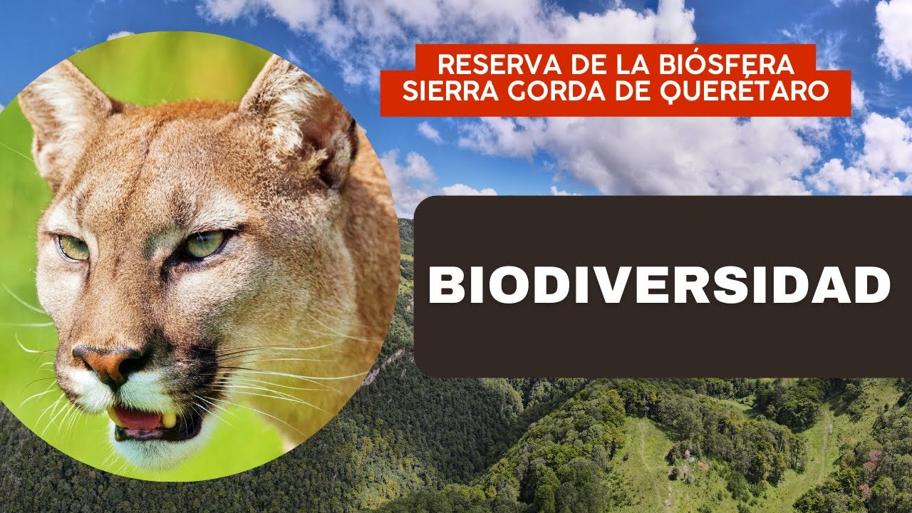 Serie: Reserva de la Biósfera Sierra Gorda de Querétaro / Episodio 1: Introducción