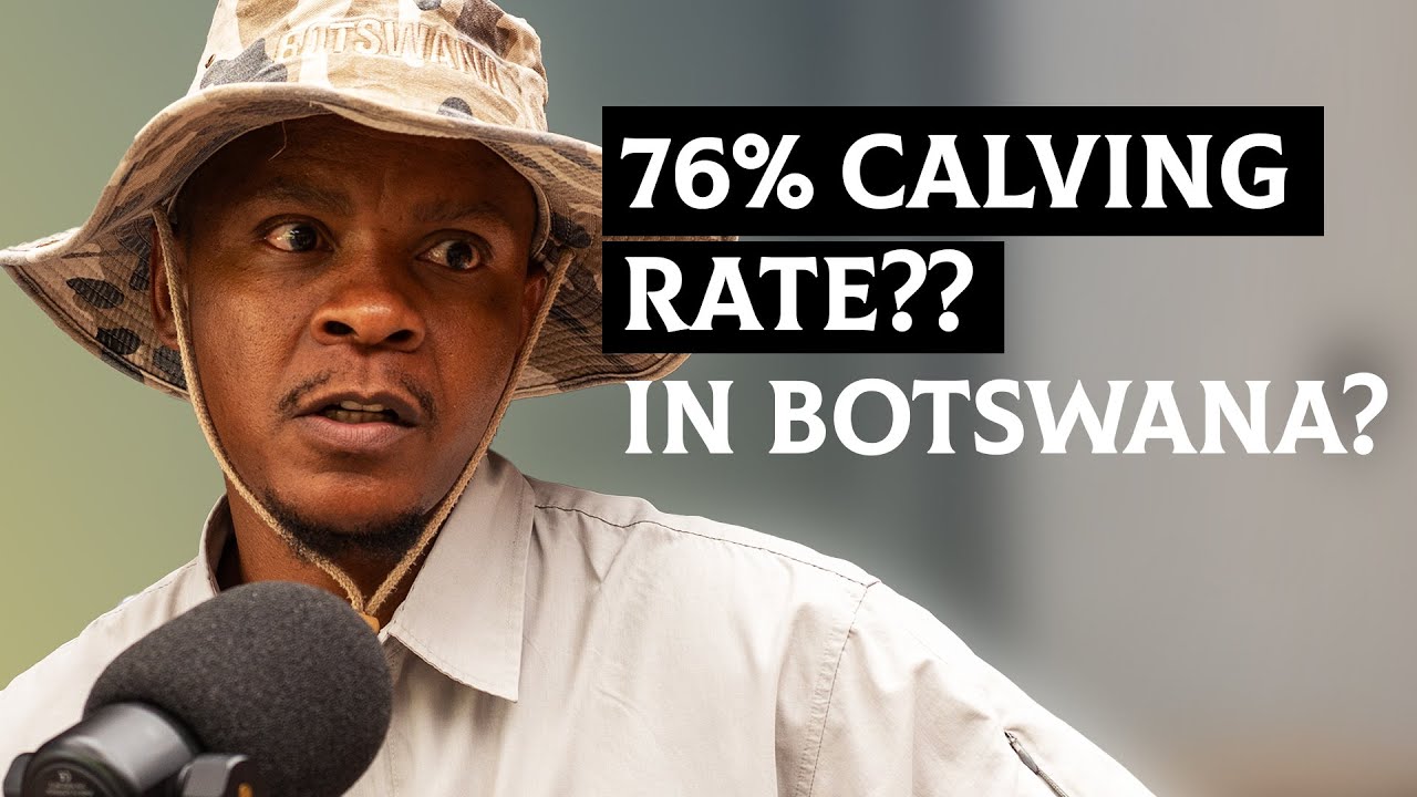 Why Most Communal Farmers Fail – And How He Beat the Odds