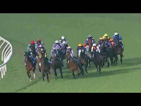 Tattersall's Tiara 2025 - TASHI (3YO+ WFA G1 FM) Group 1 Eagle Farm 28 June