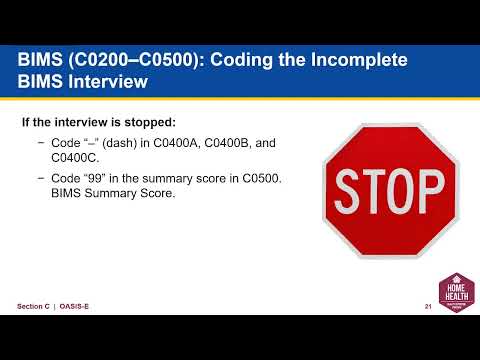 Section C: Cognitive Patterns