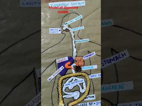 project work science #subscribe #viralshorts2025 #viralshorts #shortsfeed #trendingsong#trend