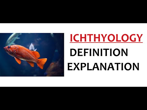 What is Ichthyology?| Explanation |