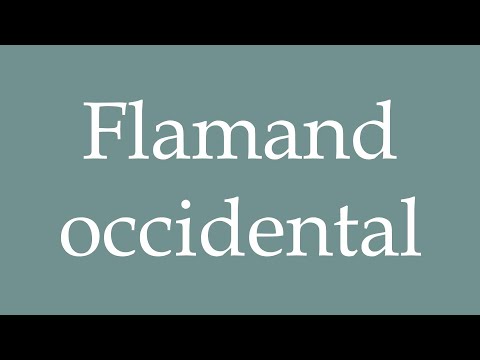 How to Pronounce ''Flamand occidental'' (West Flemish) Correctly in French