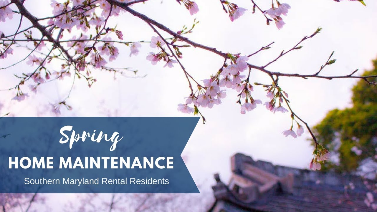 Spring Home Maintenance for Rental Residents in Southern Maryland
