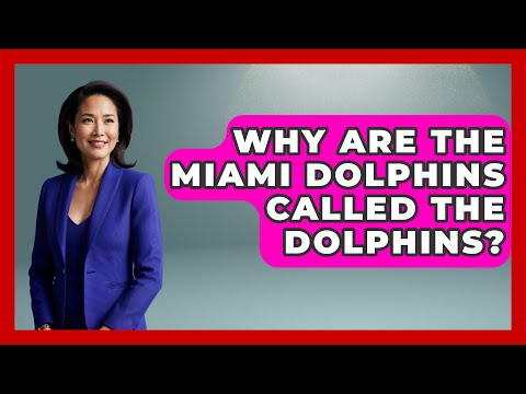 Why Are The Miami Dolphins Called The Dolphins? - The Football Xpert