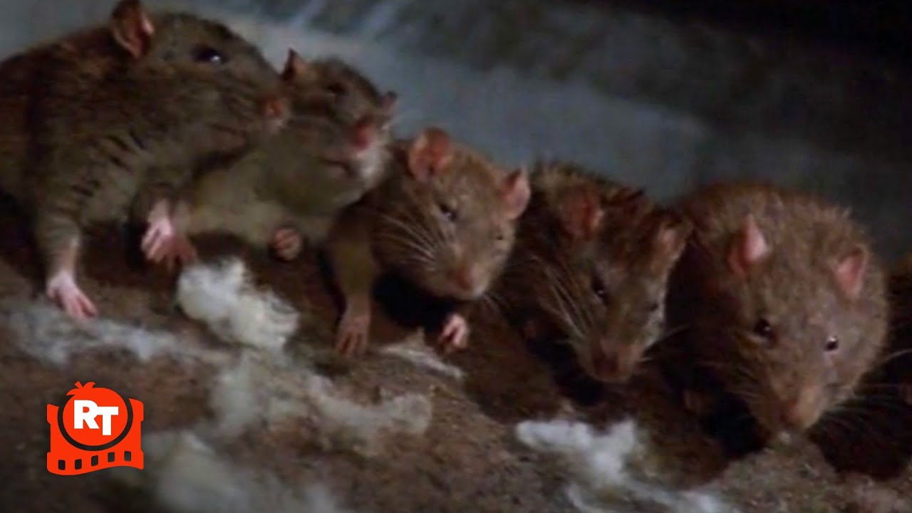 Scary Mice In Mulgore?! - General Discussion - World of Warcraft Forums