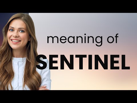 Sentinel — SENTINEL definition