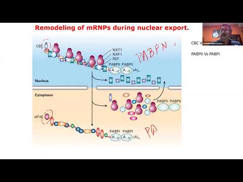 CMB Lecture 23