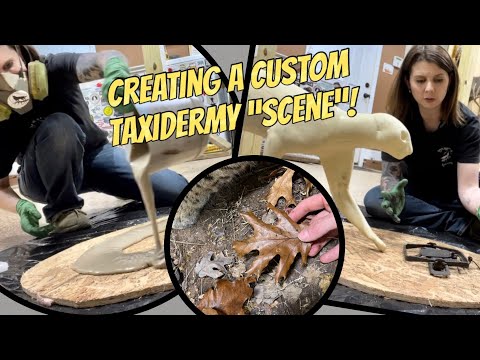 Building a custom taxidermy habitat scene for a bobcat!