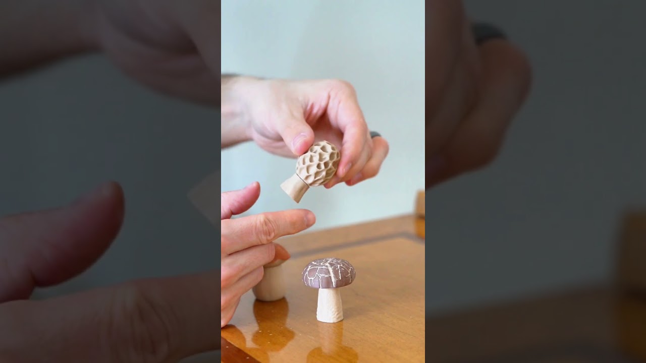 Plants that Play with You