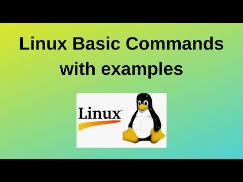 Linux Basic Commands with examples