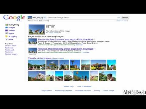 Google Image Suche