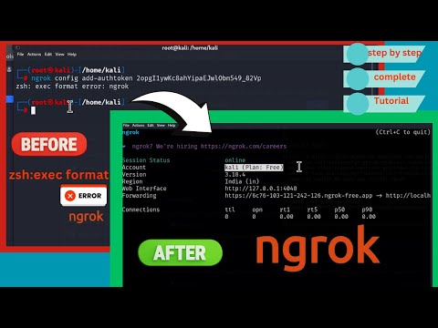 how to install Ngrok in kali linux | Fix All bugs and errors while installing the Ngrok in kali