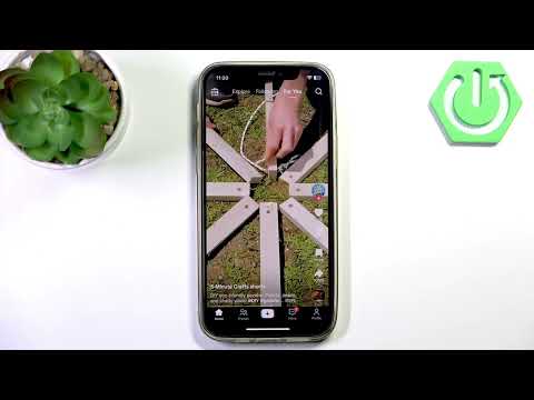 How to Get Paid on TikTok