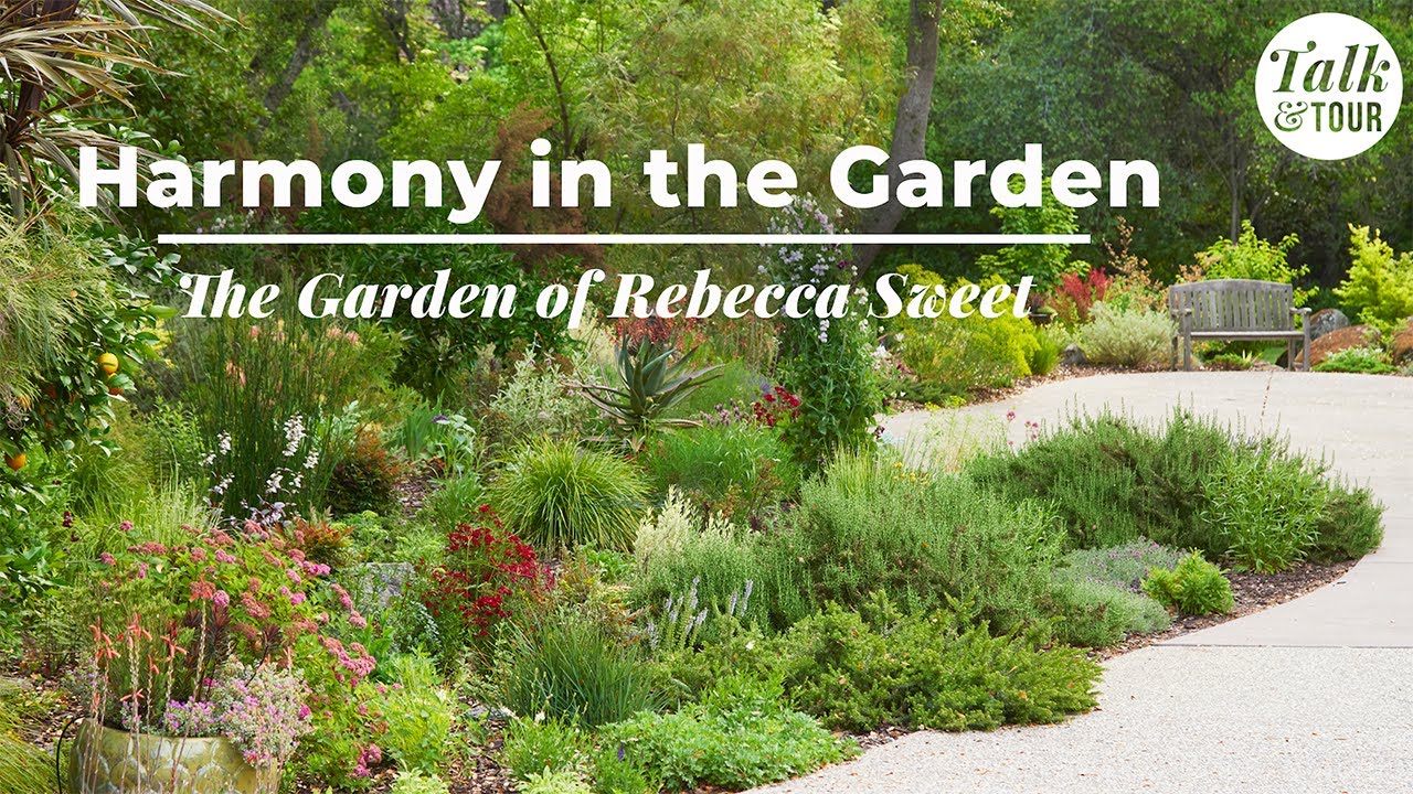 Tour a Garden of Drought-Tolerant Plants in California 🌼 Talk & Tour | Rebecca Sweet #gardentour