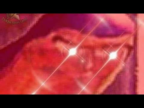 Clean Memes to show my pure friends